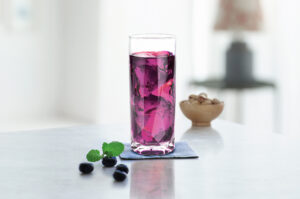 Glassware Dictionary: Talking Highball | Ocean Brand